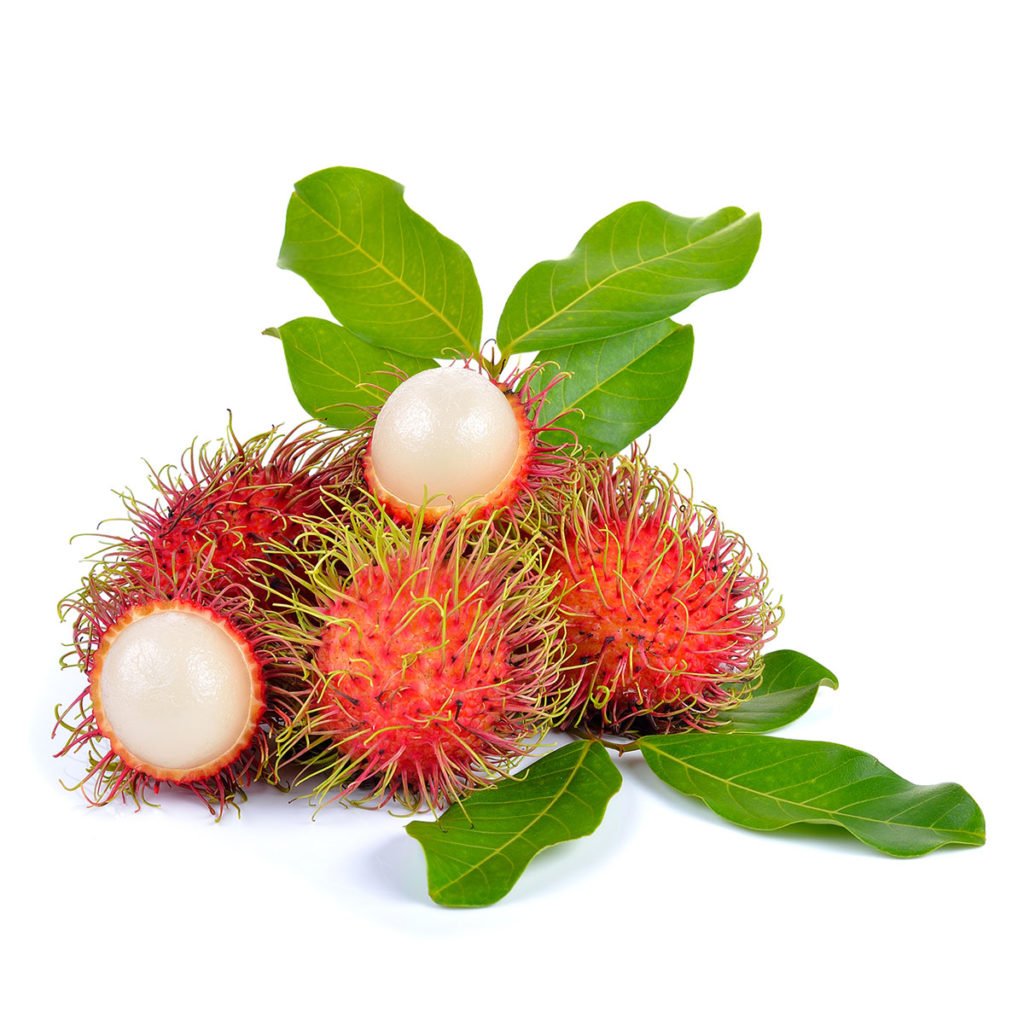Isi Rambutan (500g/Box) - Dusun ExoThick